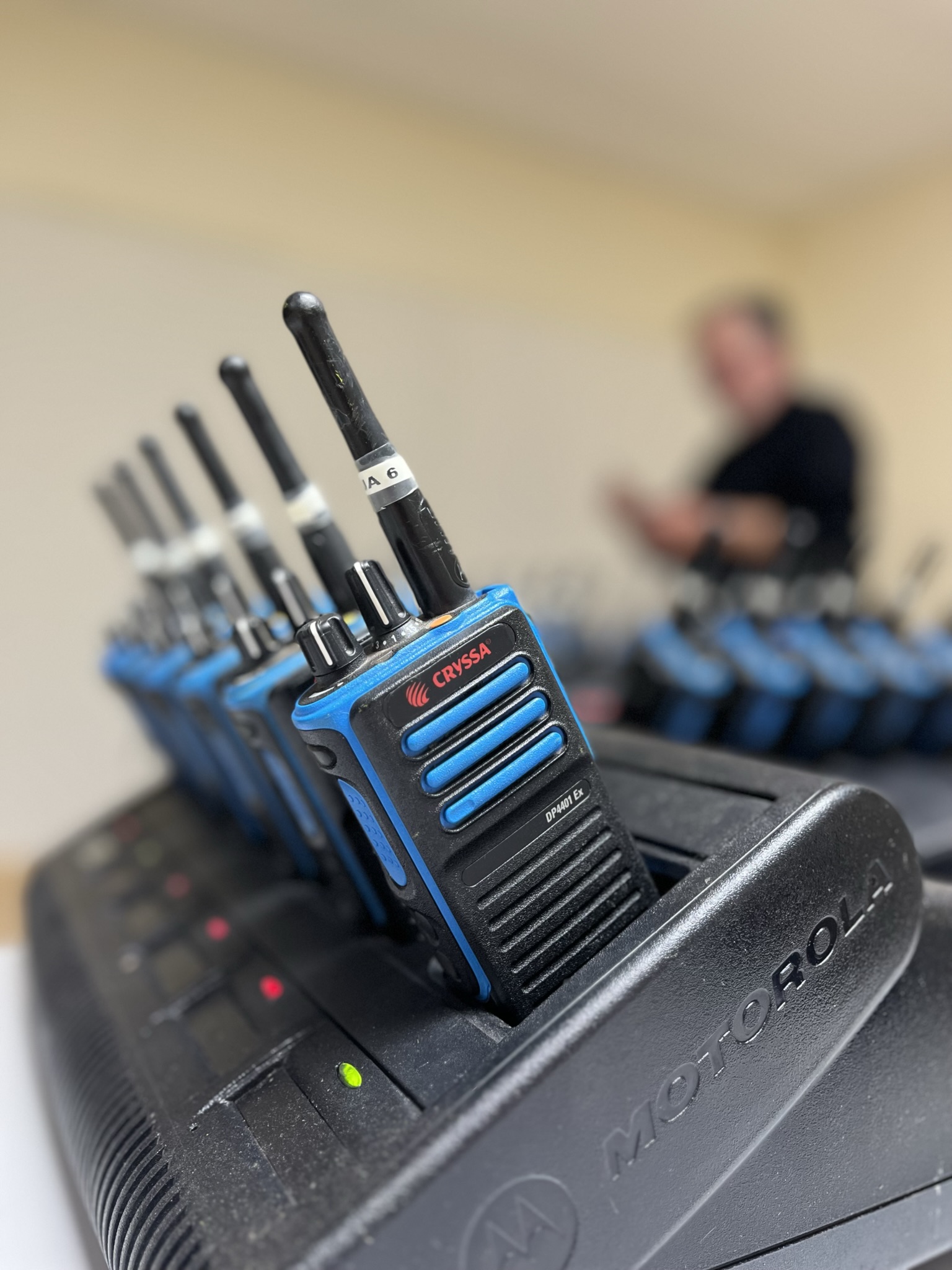 Cómo cuidar tus Walkies | CRYSSA